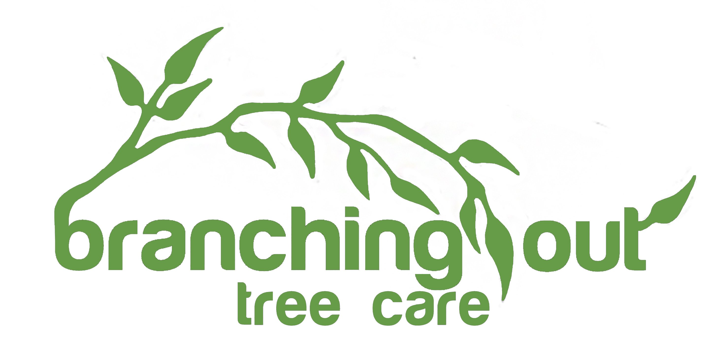 Branching Out Tree Care - Phone: 0402-221-418 - Barragup, WA