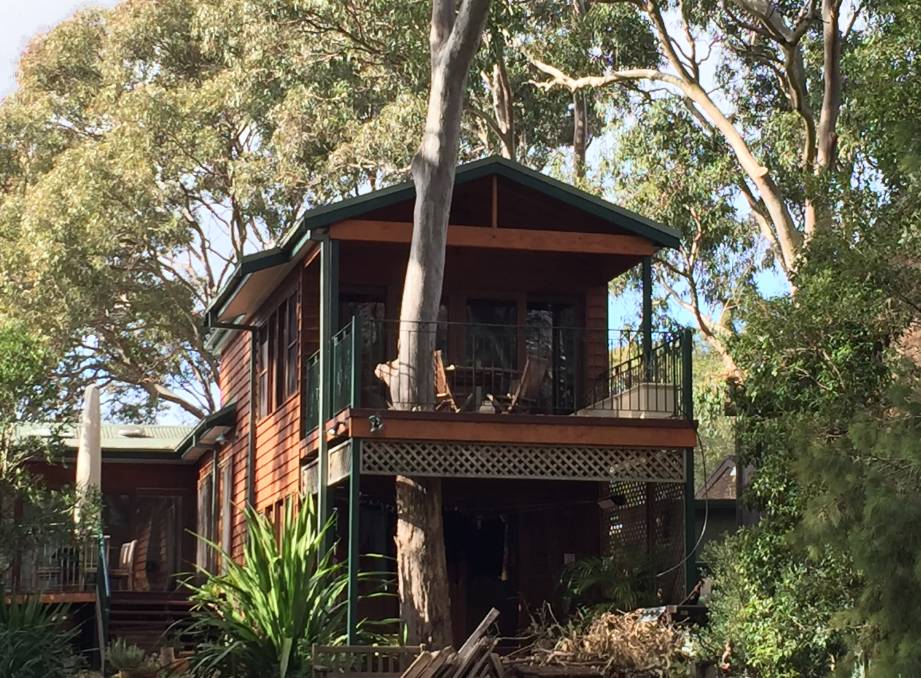 Holistic Tree Management | branchingouttrees.com.au